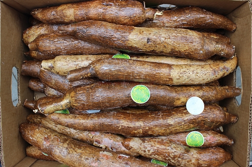 Maniok - http://www.littleindia.pl/